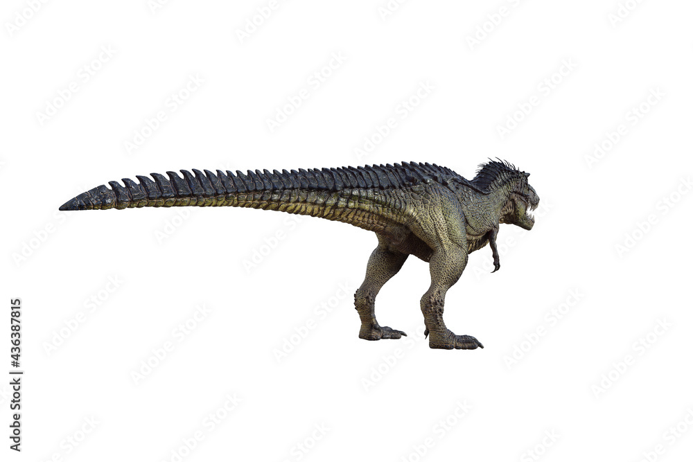 tyrannosaurus rex, in different poses for better adaptation to your ...