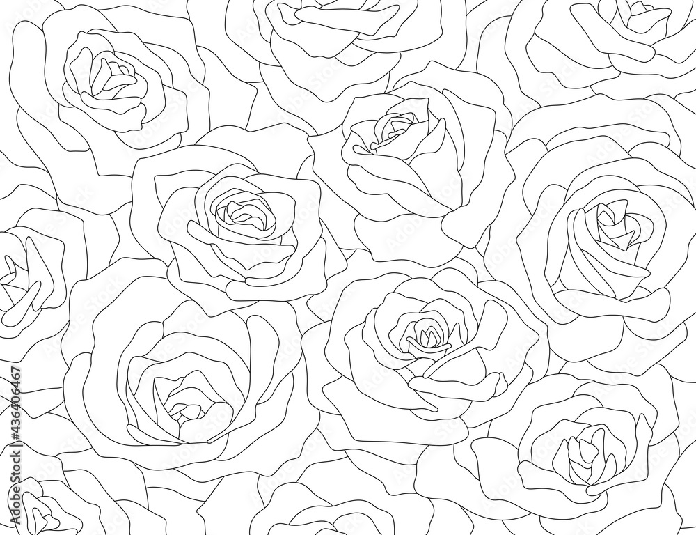 Rose Line Art Outlined Elegant Background Vector Fully Editable Strokes ...
