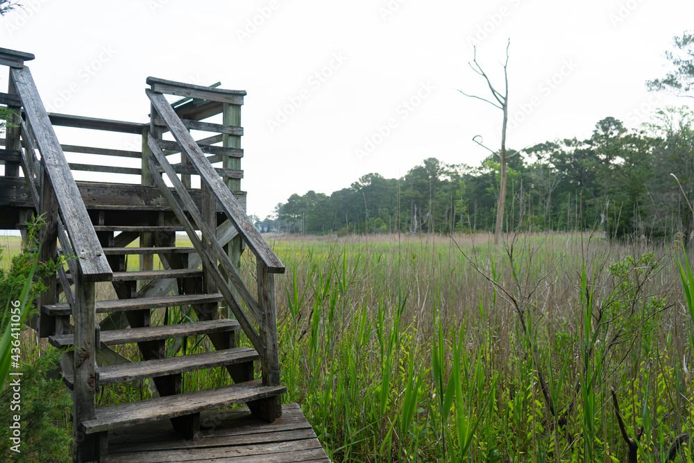 bridge, wooden, wood, nature, stairs, path, steps, landscape, sky ...