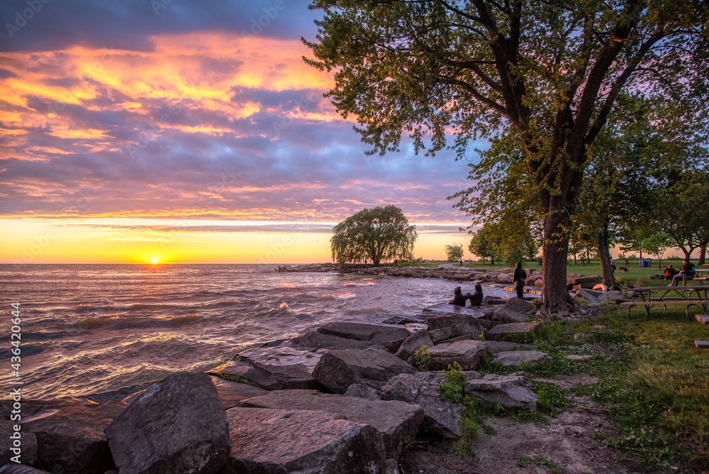 Edgewater Beach Willow Tree in Cleveland Ohio Stock Photo | Adobe Stock
