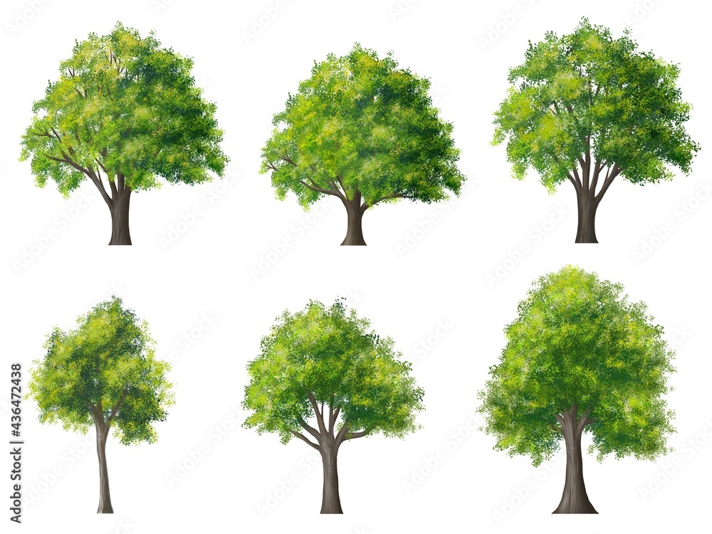 Collection of abstract watercolor tree side view isolated on white ...