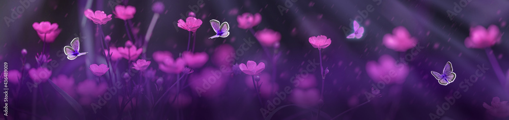 Night summer meadow with violet flowers and flying butterflies in light ...