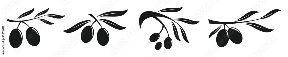 black olive icon set, olive branch isolated on white, Vector ...