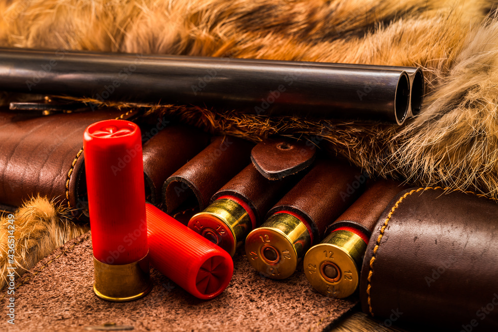 12 caliber bullets in leather hunting bandolier and double-barreled ...