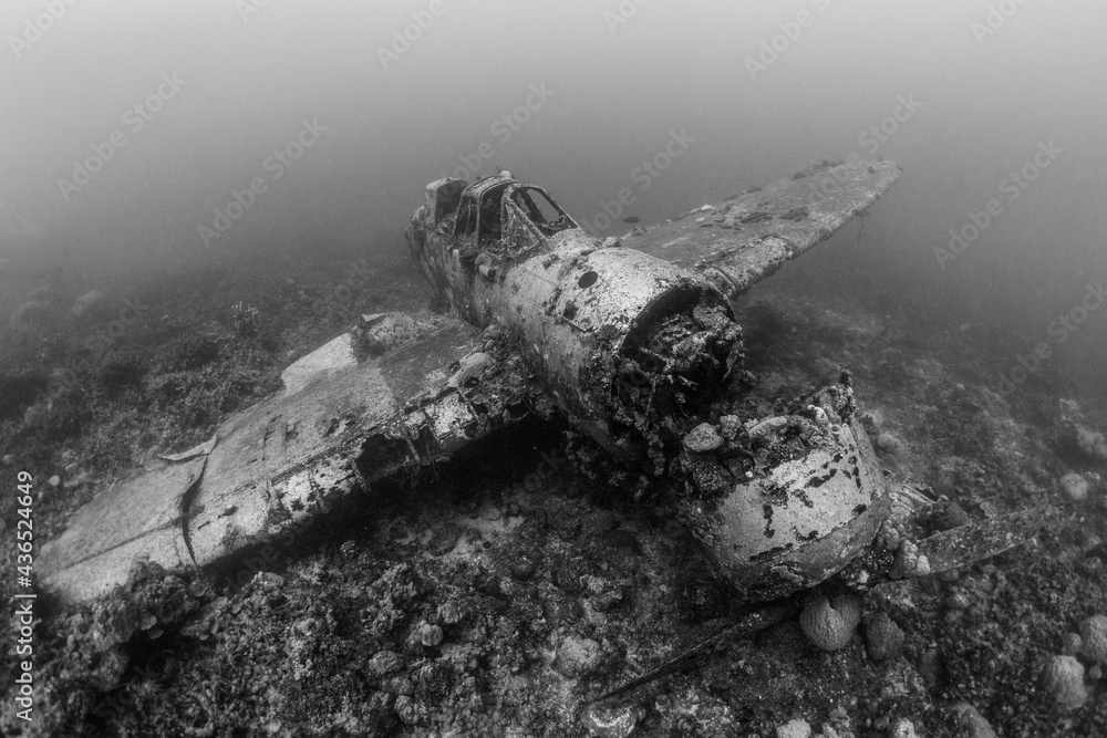 Jake, Japanese World War II sea plane wreck Stock Photo | Adobe Stock