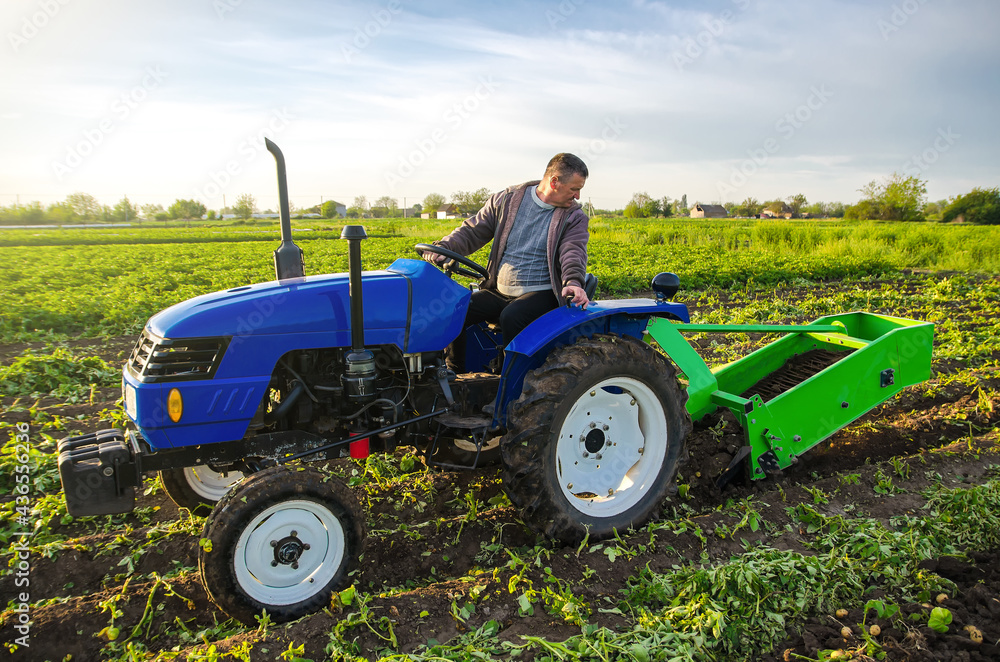 A farmer on a tractor digs potatoes with a digger. The use of modern ...
