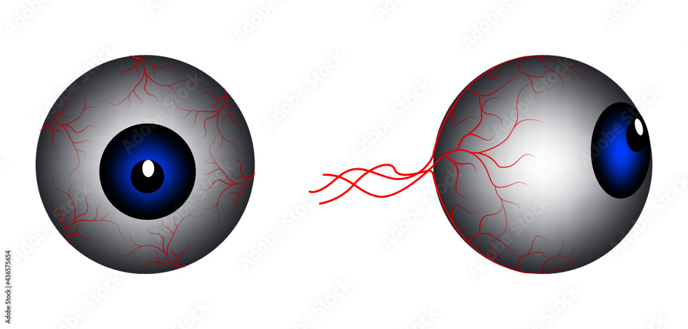 Creepy eye vector illustrations. Halloween scary eyeball collection ...