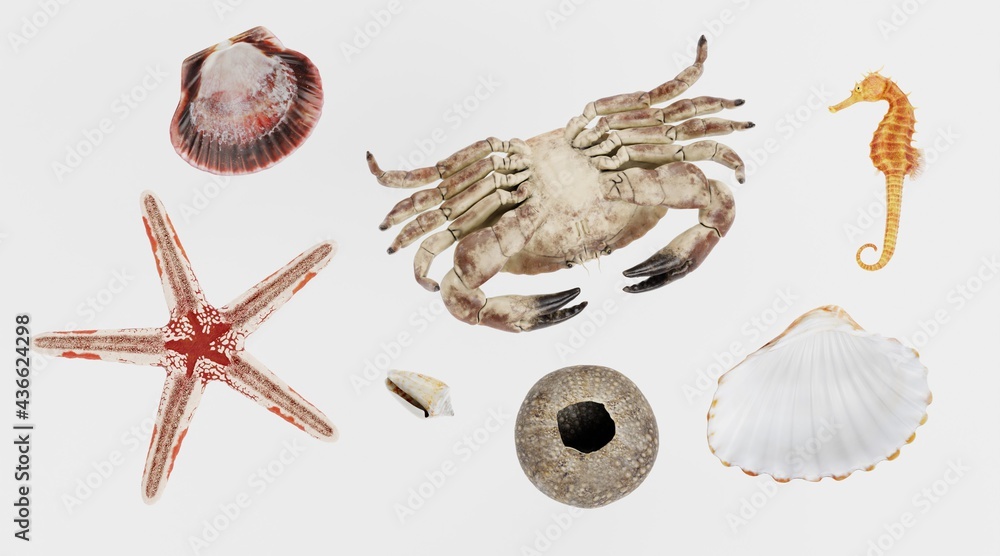 Realistic 3D Render of Sea Animals Stock Illustration | Adobe Stock