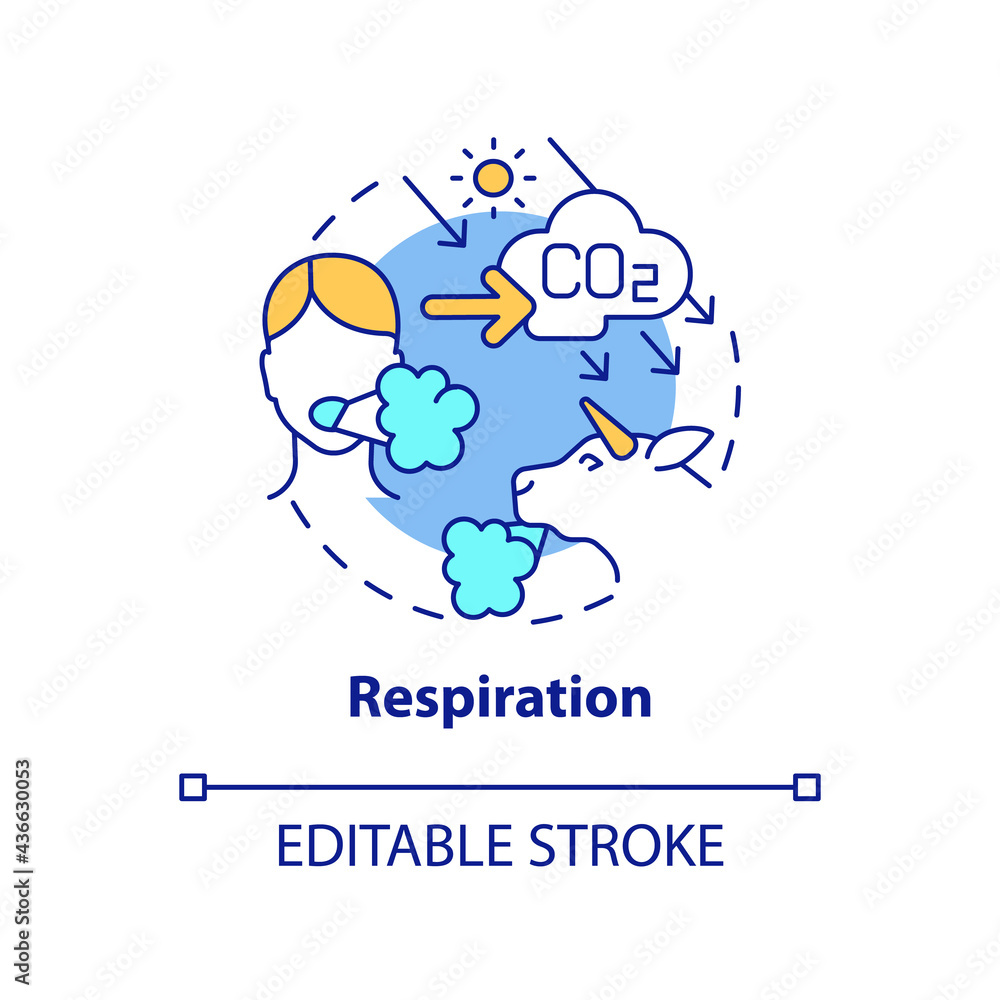 Respiration concept icon. Natural carbon emissions abstract idea thin ...