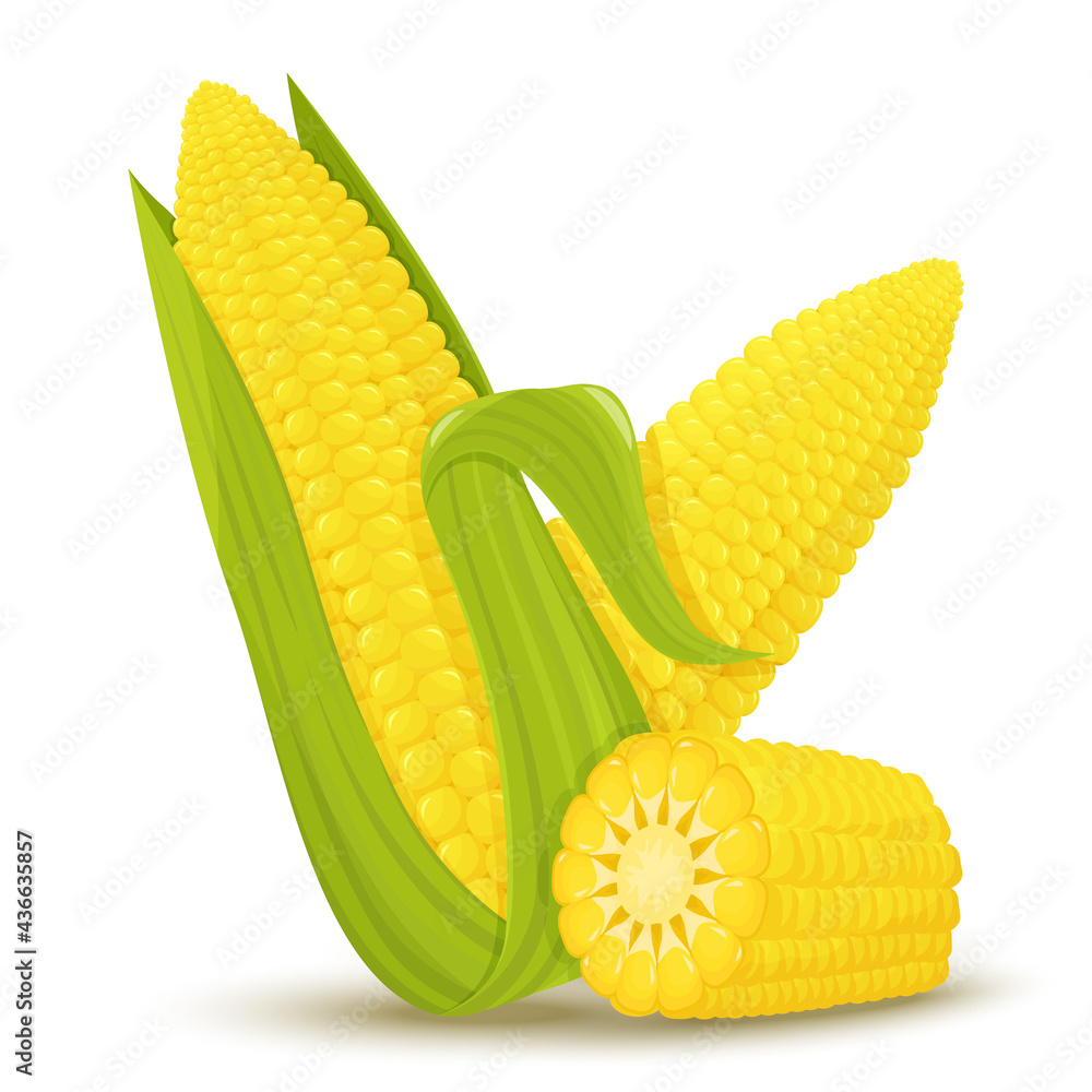 Cartoon corn. Golden maize harvest, popcorn corny grains and sweet corn ...