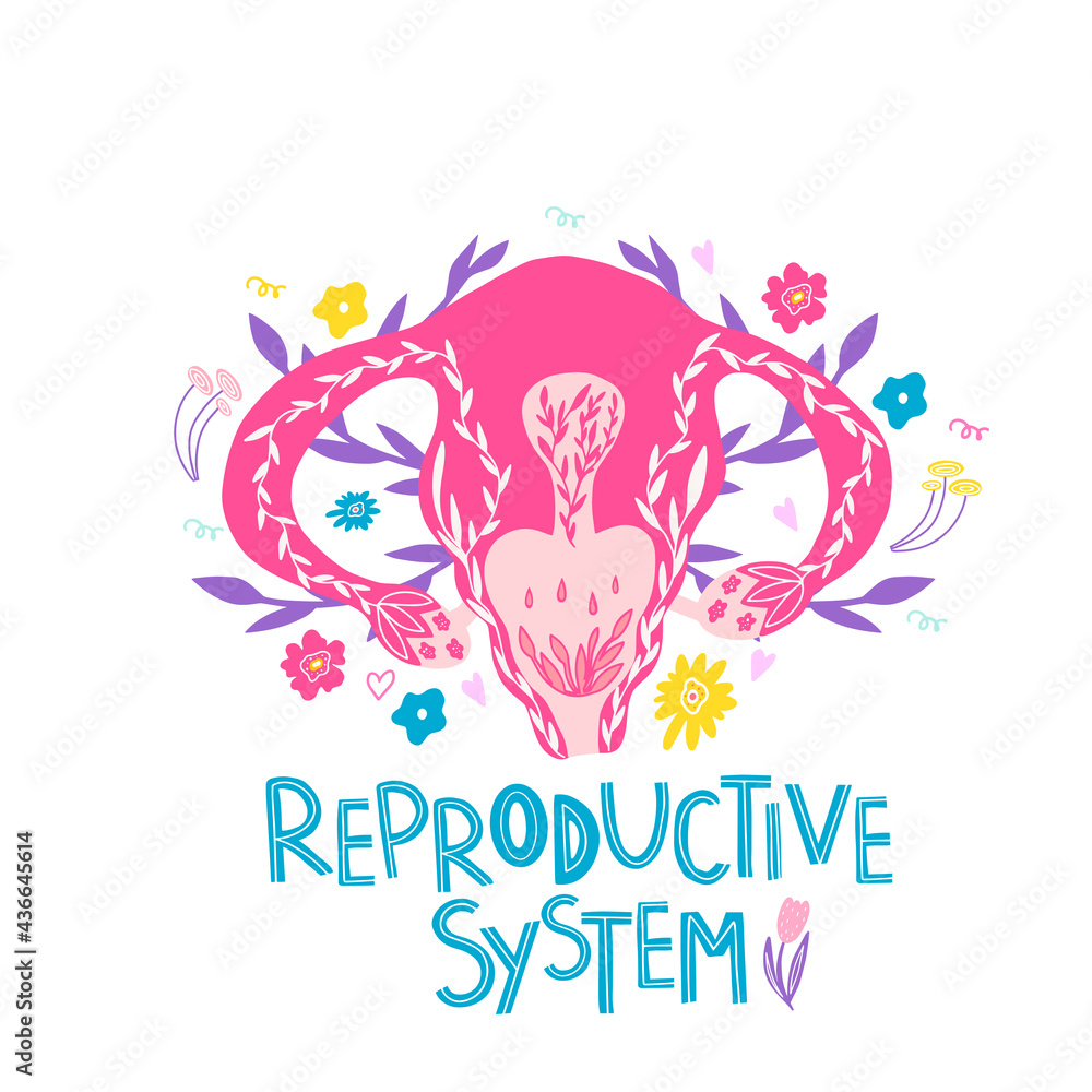 Female reproductive system with flowers. Female anatomy - uterus ...