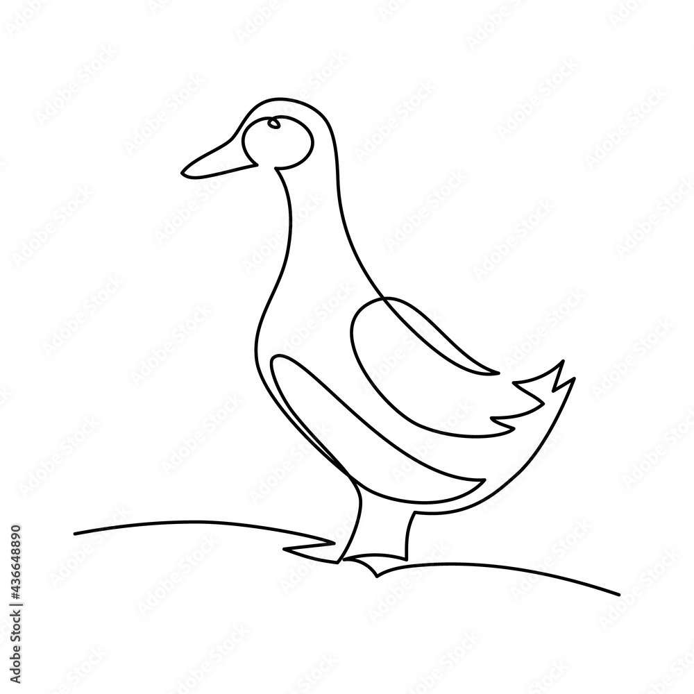 Duck in continuous line art drawing style. Minimalist black linear ...