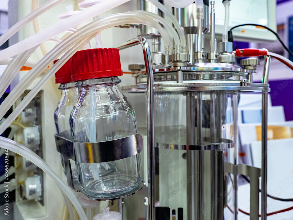 Microbiological bioreactor. Fragment of a bioreactor in the laboratory ...