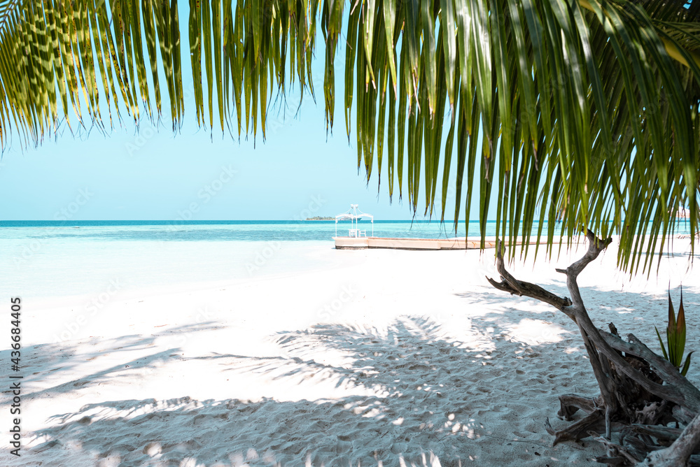 Tropical beach. leaves of palm trees sticking out from the corners of ...