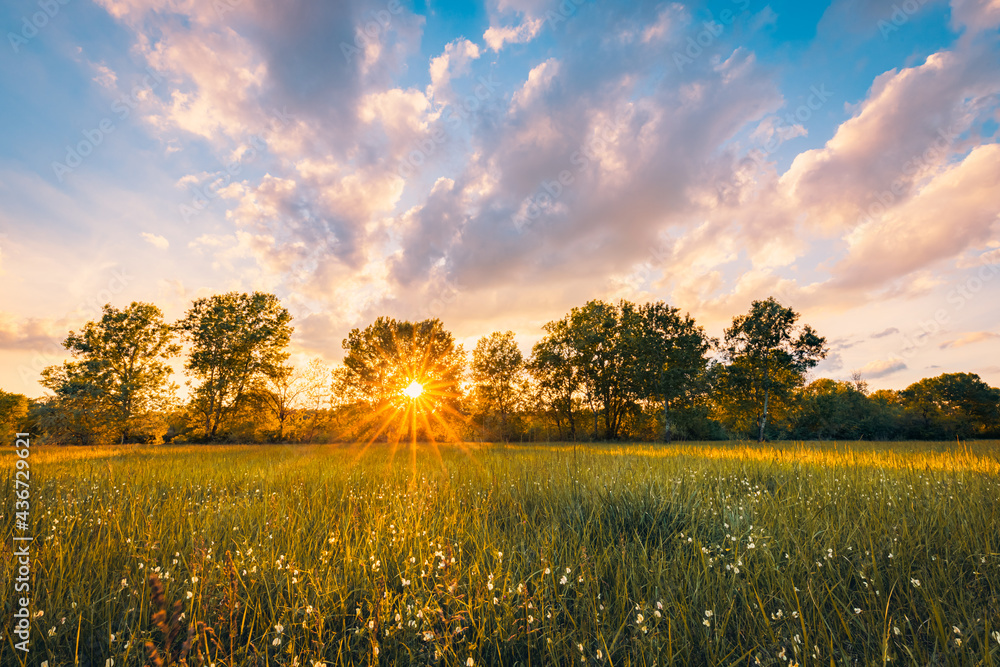 Amazing sunset panorama at magical countryside field and meadow. Forest ...