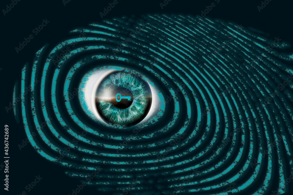 The structure of the iris and the scanned fingerprint. The concept of ...