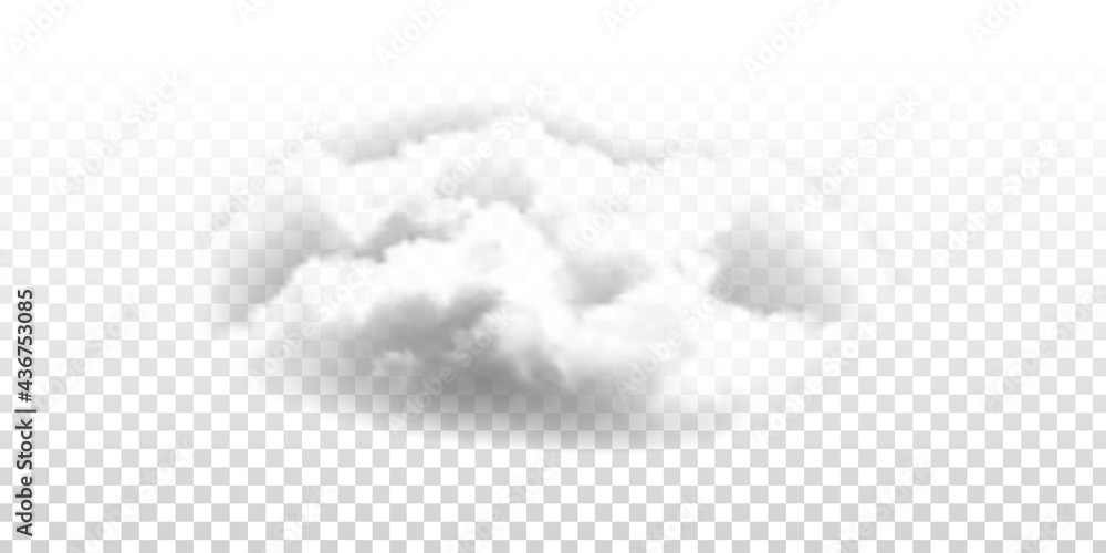 Vector realistic isolated cloud for template decoration and covering on ...
