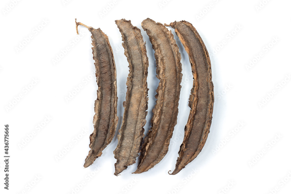 Top view of dried Winged bean, Goa bean, Asparagus pea, Four-angled ...
