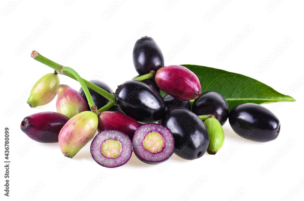 Jambolan plum or Java plum isolated on white background Stock Photo ...
