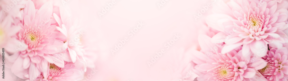 Nature of flower in garden using as cover page background natural flora ...