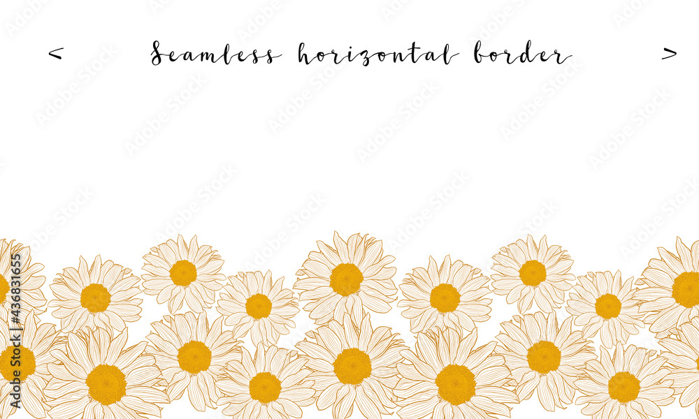 Seamless horizontal daisy border with bronze outline isolated on white ...