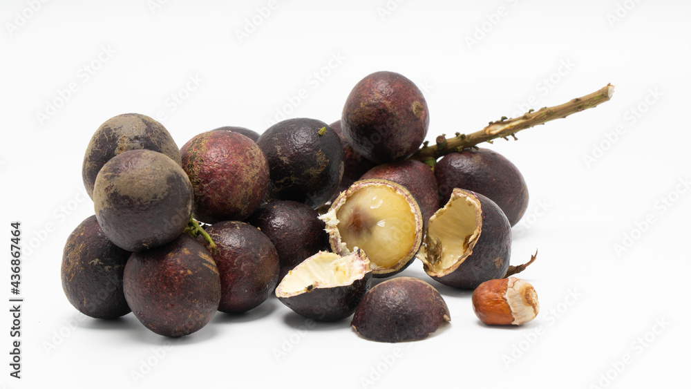 Matoa fruit is known botanically as Pometia pinnata and is a member of ...
