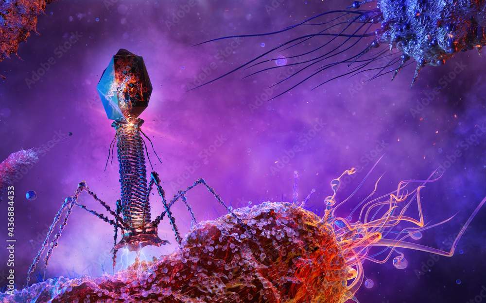 Bacteriophage virus attacking and infecting bacteria. Phage virus T4 ...