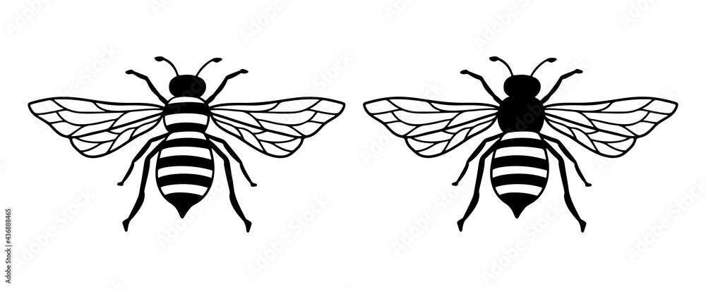 Vector Bee line icon illustration. Graphic logo of insect, simple ...