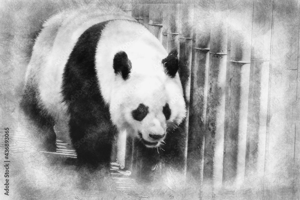 Beautiful breeding panda bear playing in a tree hand drawing effect ...