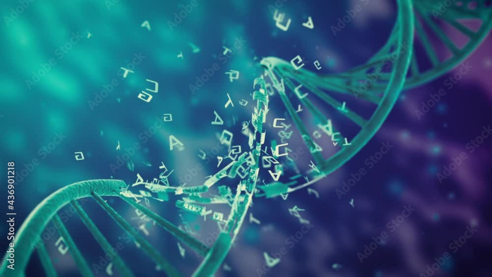 close up view of a dna double helix rotating, dna damage with tcga ...