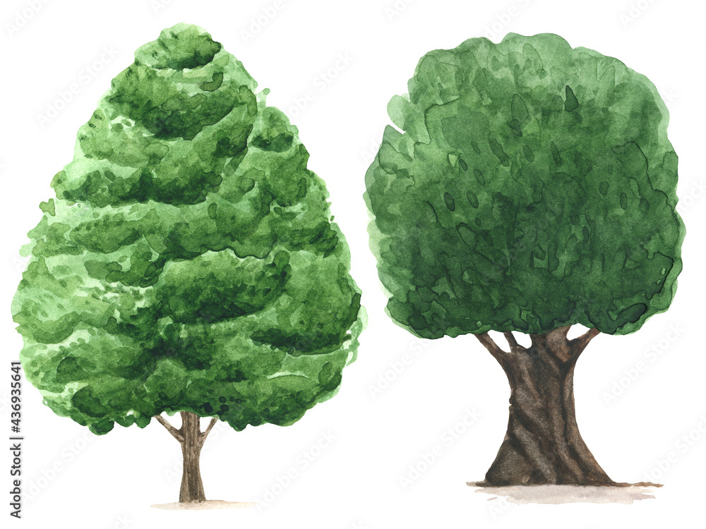 Watercolor green tree clipart isolated on white Stock Illustration ...