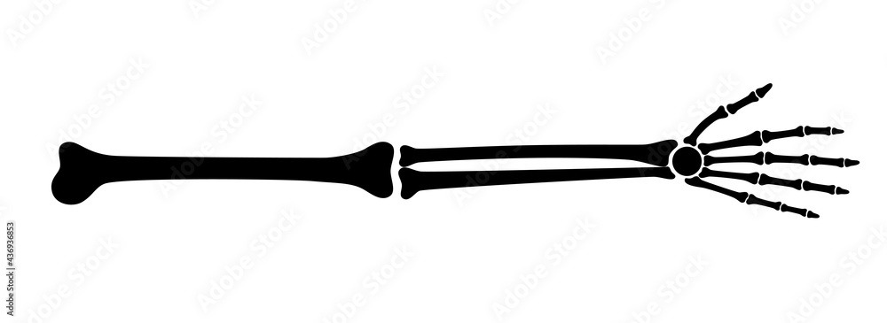 Arm bones poster Stock Vector | Adobe Stock