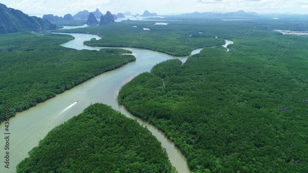 Aerial view Beautiful greenery mangrove forest with mountains peak ...