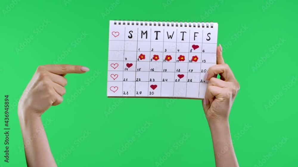 Female hands hold a woman's periods calendar, isolated on studio green ...