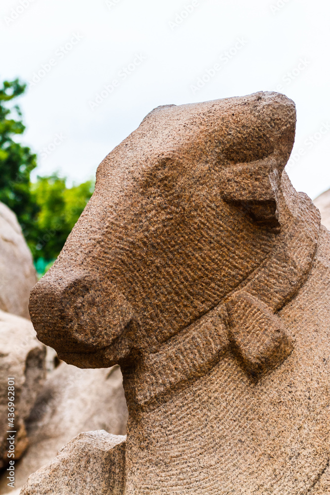 Ancient South Indian Cow Head Statue Stock Photo | Adobe Stock