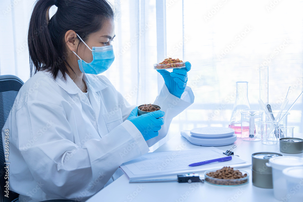 Quality control personnel are inspecting the quality of dry pet food ...