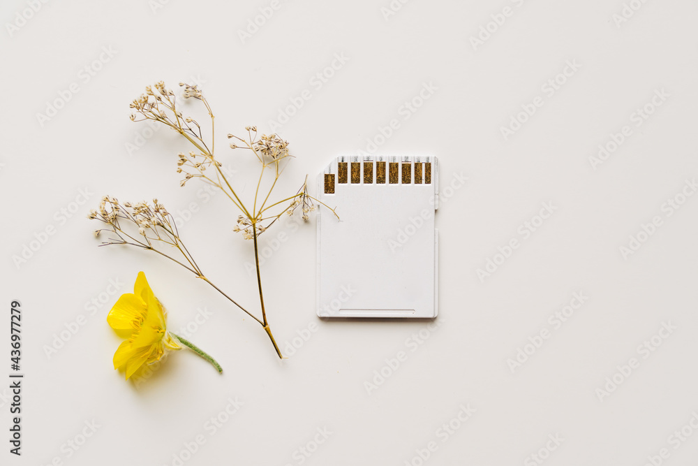 White memory card on white background with filed flowers. Eco friendly ...