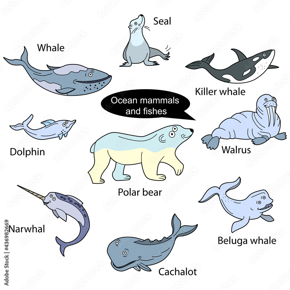 Collection with funny cute animals living in ocean. Objects isolated on ...