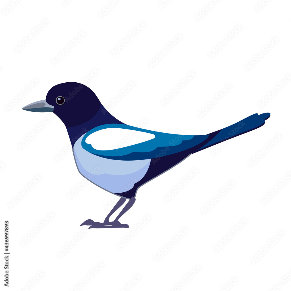 Magpies are birds of the Corvidae family. Bird Cartoon flat style ...