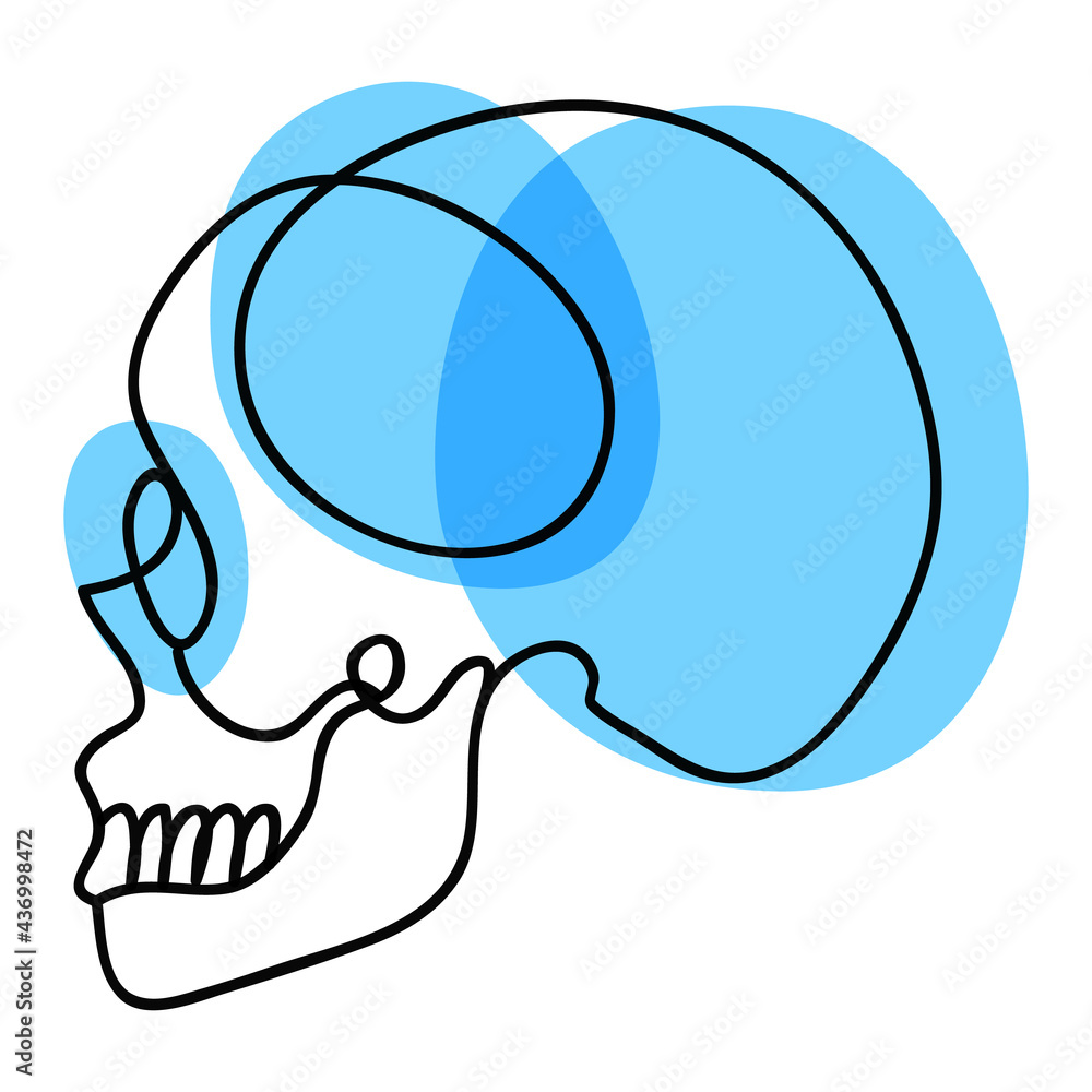 Continuous line realistic drawing of human skull on white background ...