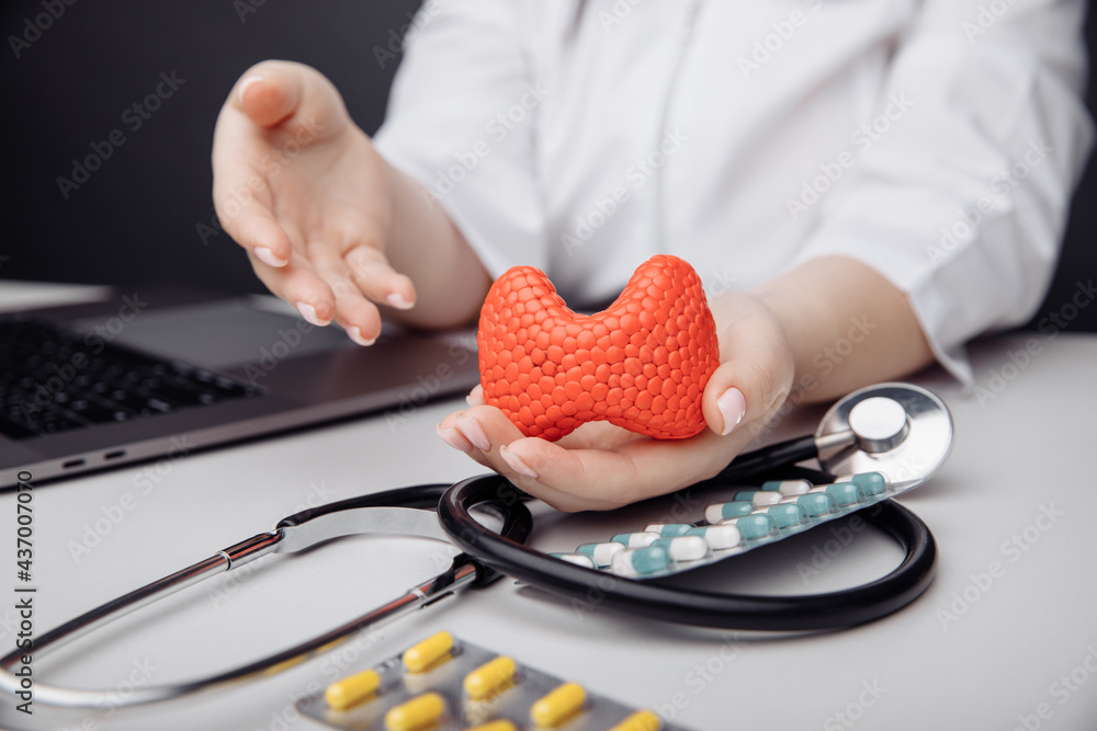 Model of thyroid gland in doctor's hand. Early diagnosis and treatment ...