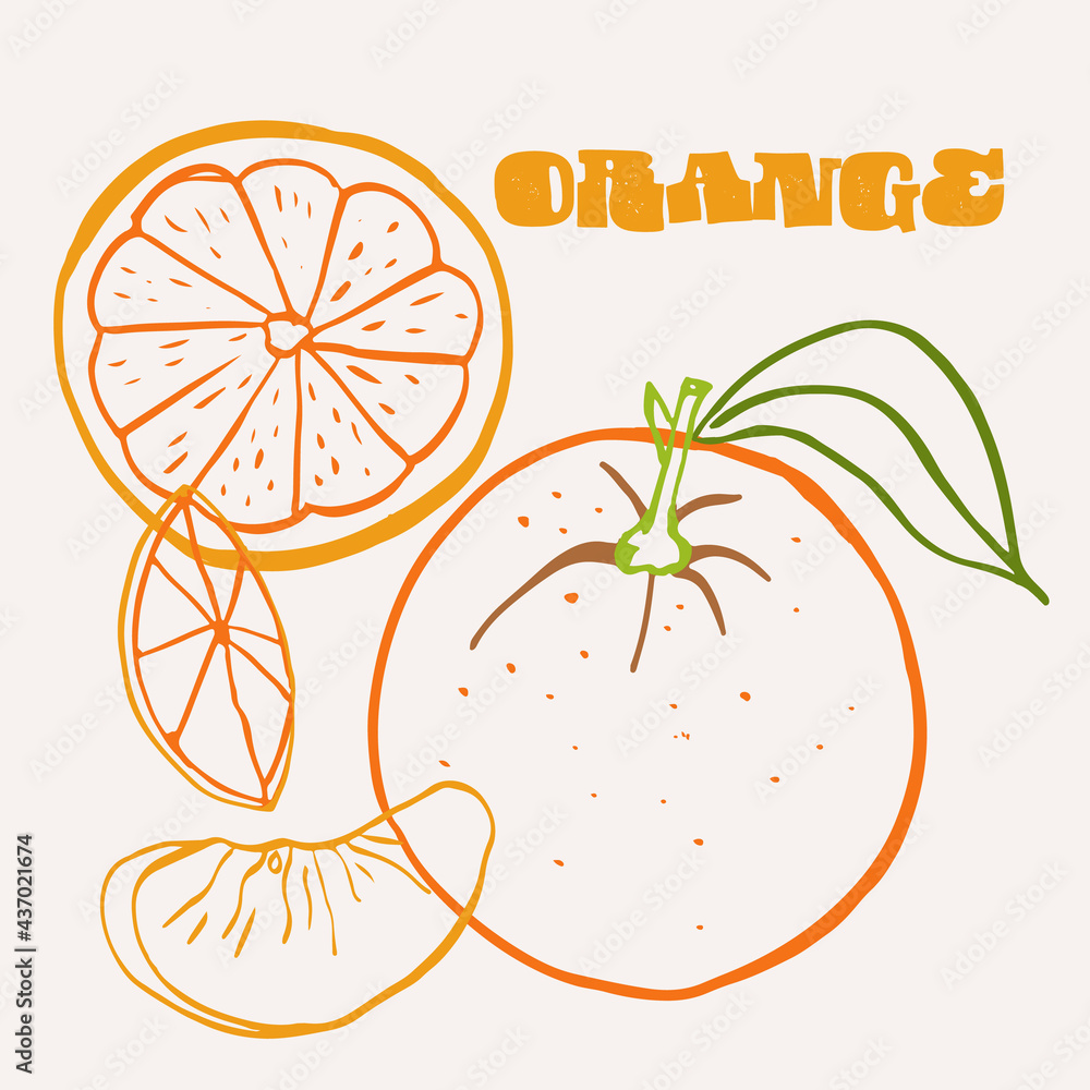 Orange line art hand-drawn multicolor modern vector illustration ...
