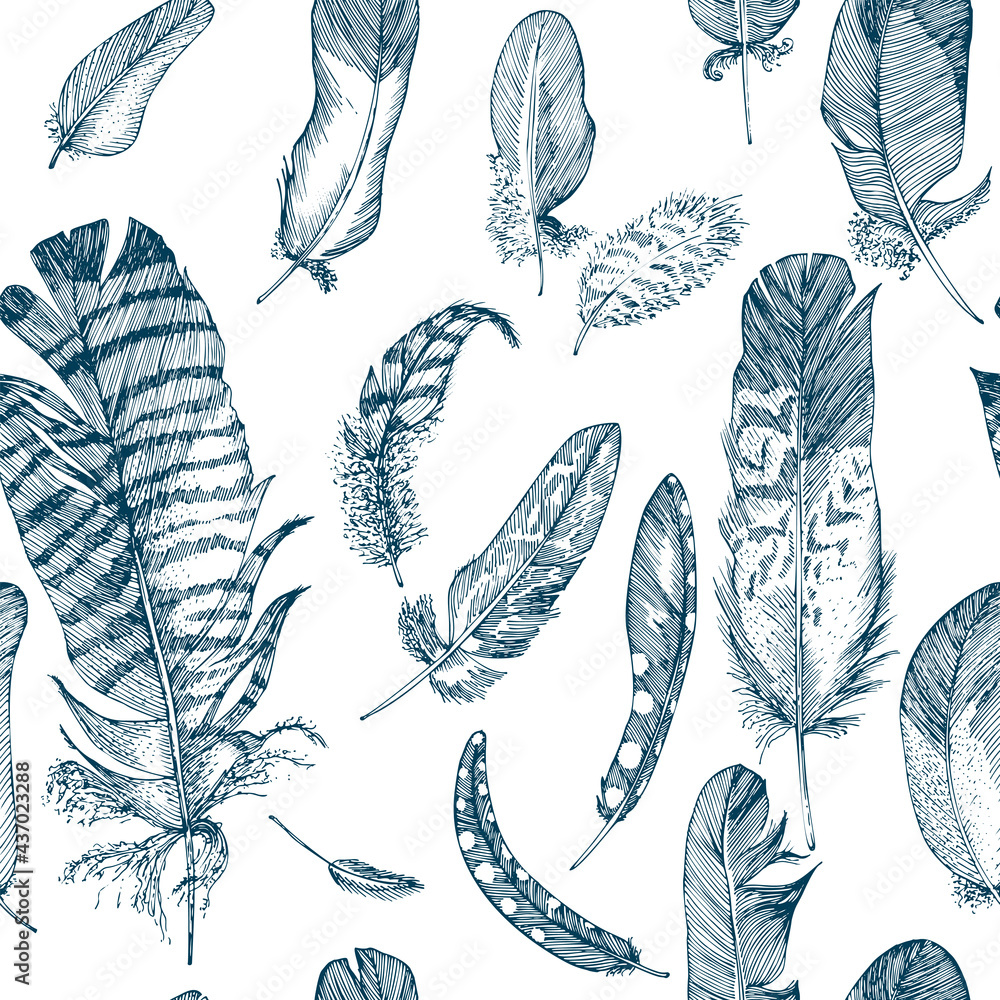 Seamless pattern Realistic sketch of bird Feather on isolated ...