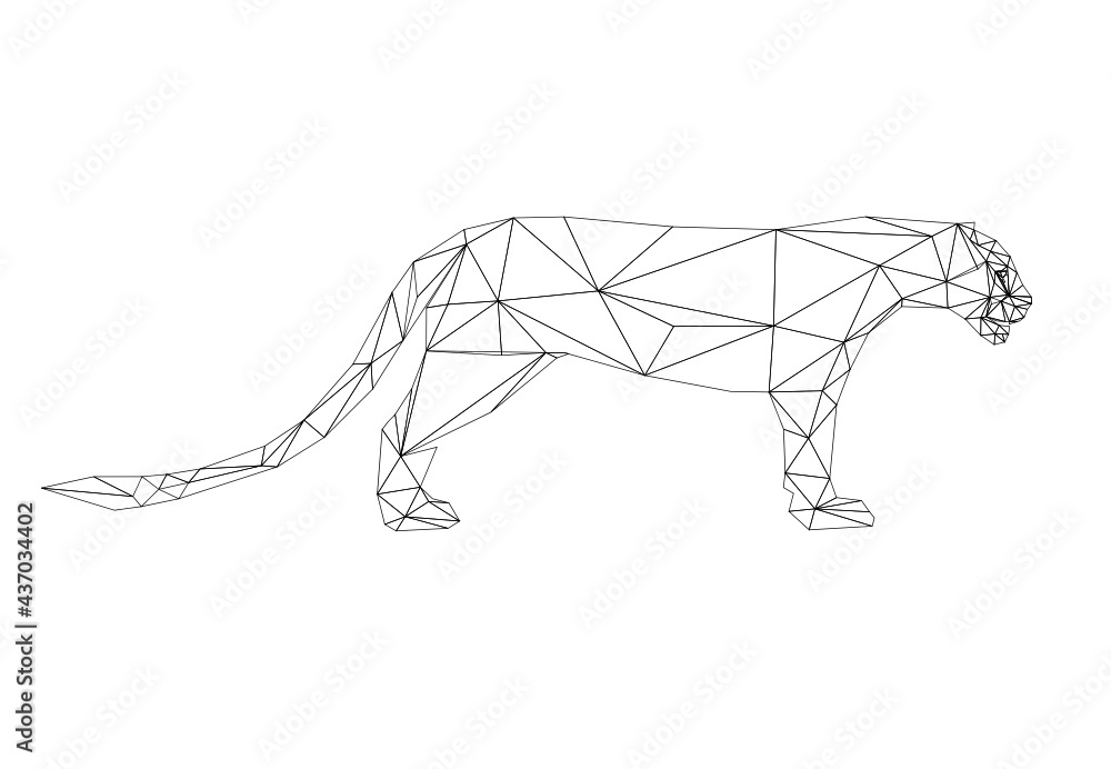 line drawing of tiger. Stock Vector | Adobe Stock