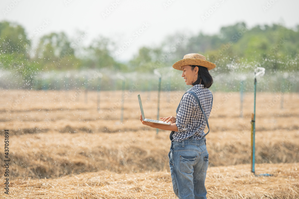 asia young female farmer in hat standing in field and typing on ...