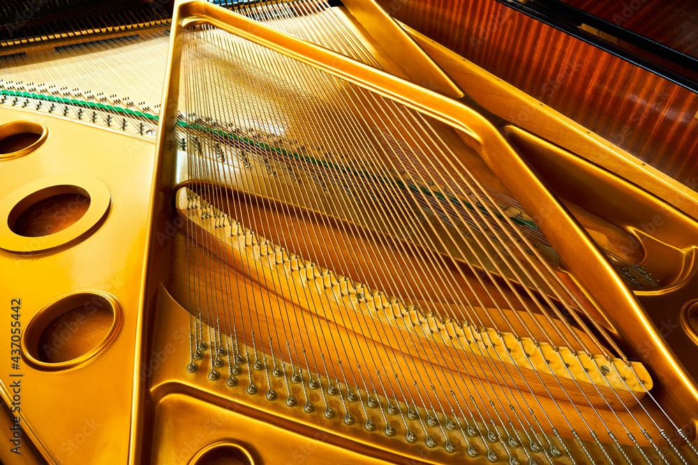 piano deck close view, chords and other parts, grand piano musical ...