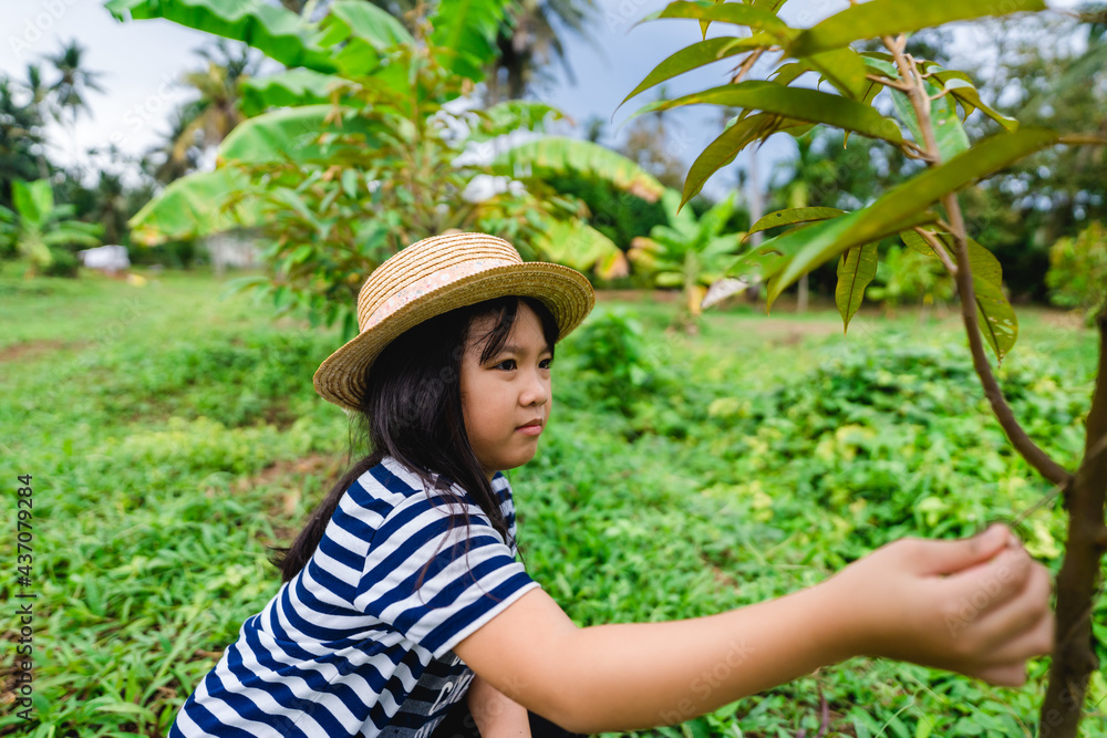 Adorable 4 years asian boy child in durian plantation farm garden ...