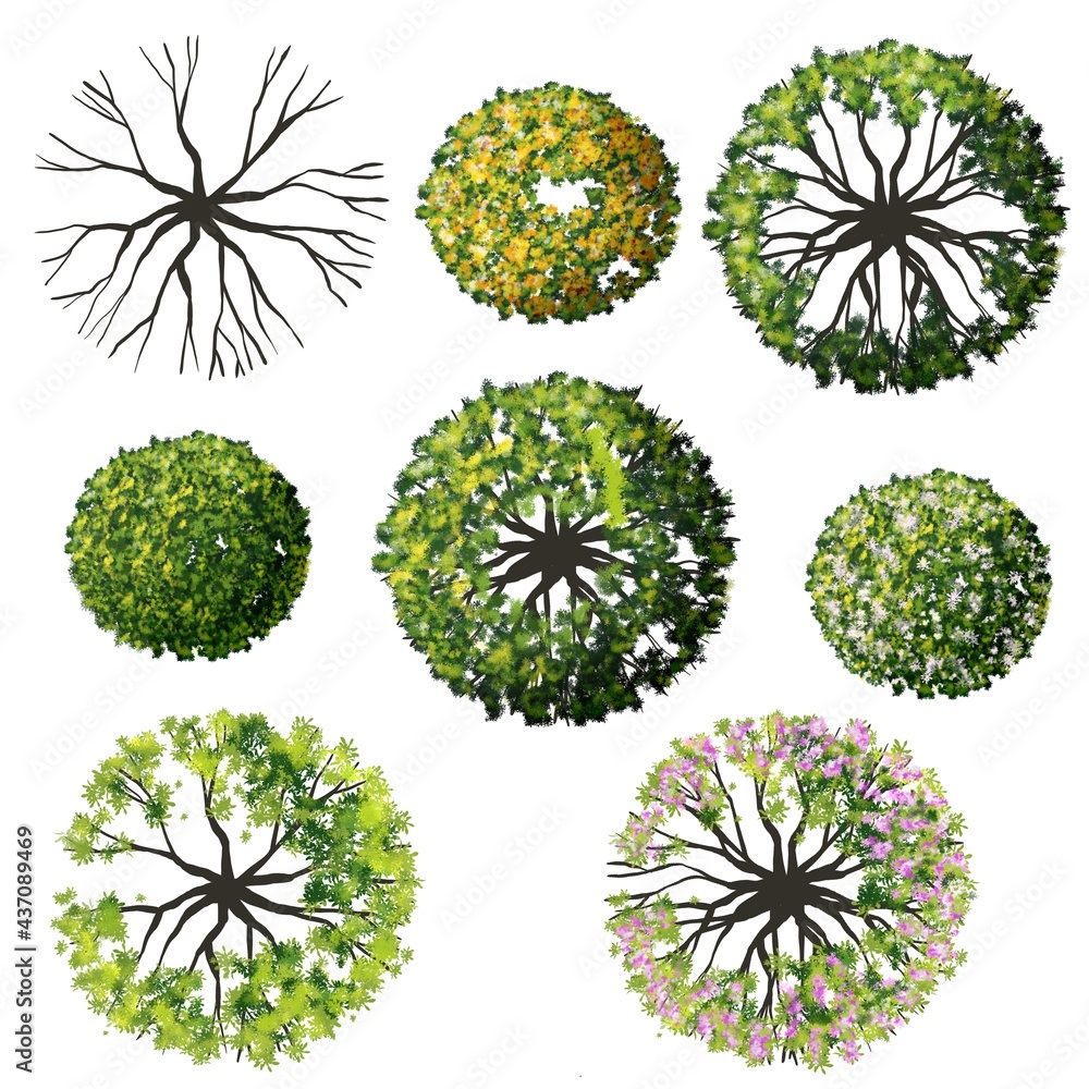 ollection of abstract watercolor tree top view isolated on white ...