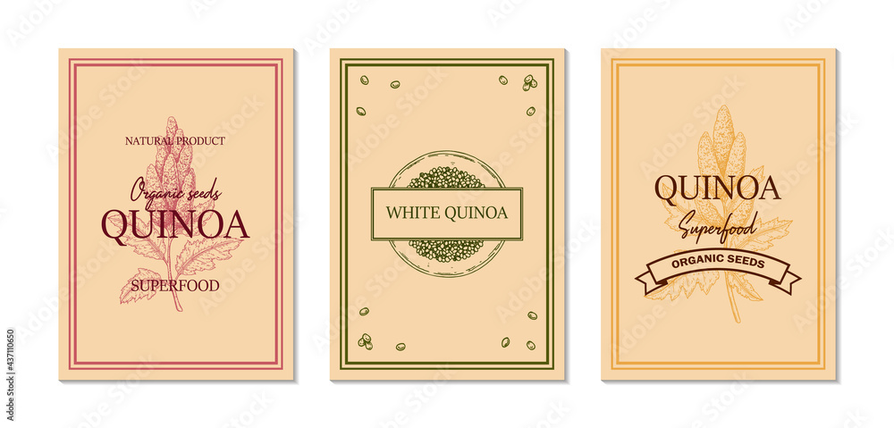 Set of Quinoa vertical packaging design with hand drawn element. Vector ...