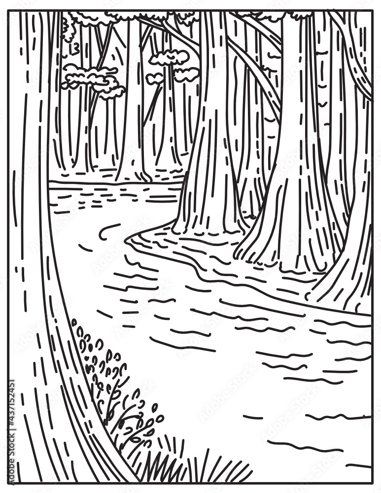 Mono line illustration of an old growth bottomland hardwood forest in ...